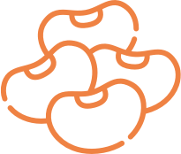 Canned Beans - Open The Possibilities